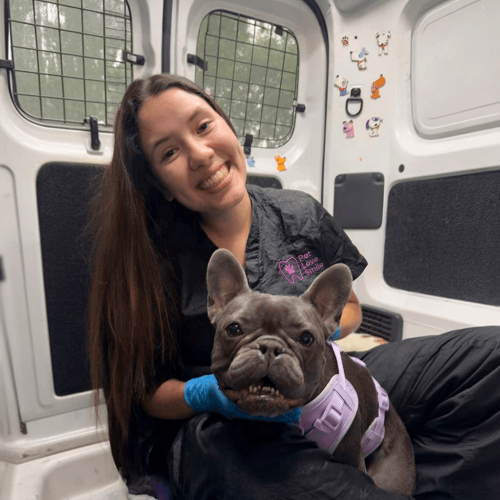 Mobile Pet Dental Cleaning in Florida | Pet Love Smile